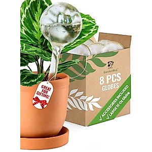 GARDENBRO 8 pc Plant Watering Globes Large Plastic - Automatic Plant Waterer Set Include Plant Accessories for Indoor and Outdoor Pots - Set of 8