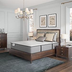 Kingsdown Passions Imagination Firm Mattress, Queen