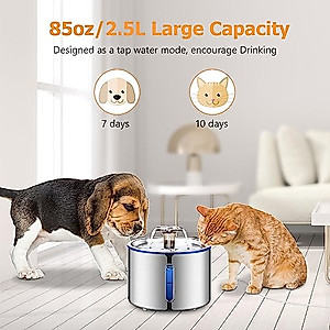 Cat Water Fountain, BOORCA 84oz/2.5L Stainless Steel Pet Water Fountain, Automatic Dog Water Dispenser with Water Level Window, Ultra-Quiet Pump and 2 Replacement Filters for Cats, Dogs, Multiple Pets