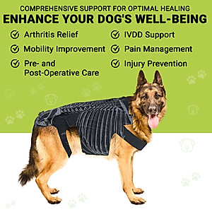 CATUPUNIS Dog Back Brace for Slipped Disc and Dog Arthritis Support, IVDD Dog Supplies, Dachshund Back Support, Back Brace for Dogs with Back Disease and IVDD [Includes 5 Dog Teeth Cleaning Wipes] (M)