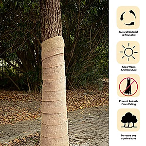2 Rolls Burlap Tree Protector Wraps, 7.8" × 9.8' Winter Tree Trunk Guards Protector Wrap Burlap Fabric Garden Plants Tree Wrap Antifreeze Bandage bark Protector Wrap for Keeping Warm and Moisturizing