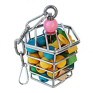 Stainless Steel Food Fruits Basket for Budgies Eclectus Parrot , Black Headed Caique Cheeks Macaw, Lovebird, Green cheek Conure, Bird Cage Feeder, Squirrel & Hamsters Feeding Device, Bird Feeder