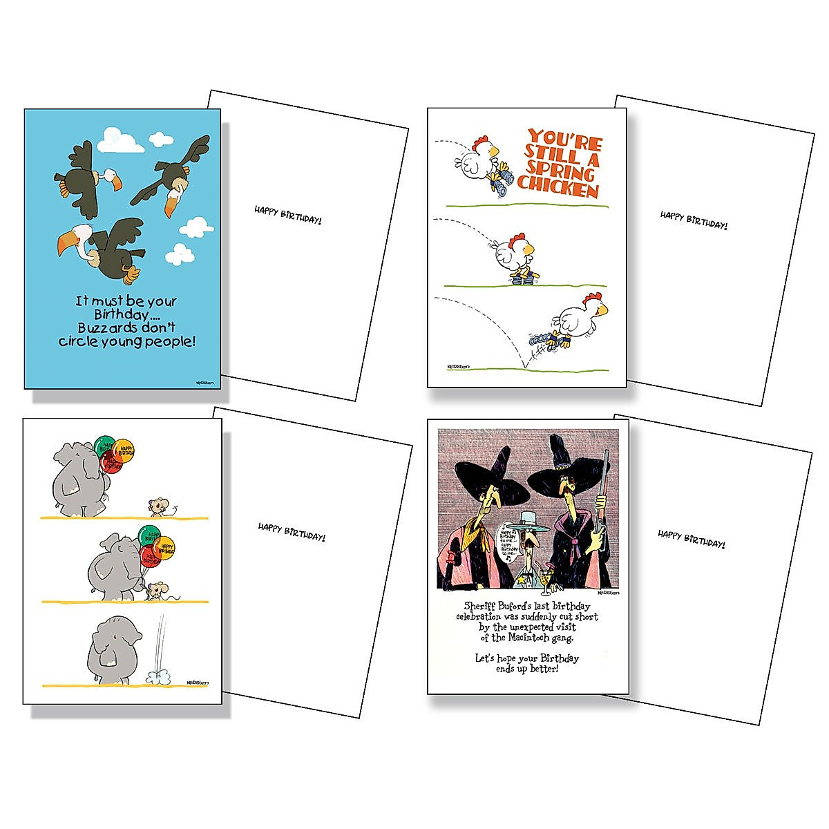 Stonehouse Collection Vareity Set of 12 Funny Birthday Cards - Birthday Card Assortment - USA Made