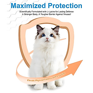 L-Lysine Powder for Cats, Lysine Supplement for Cats, Support Immune System, Respiratory Health & Visual Function and Allergy Relief, Pets Health Supplies Multivitamins, Salmon Flavor - 4.23 oz / 120g