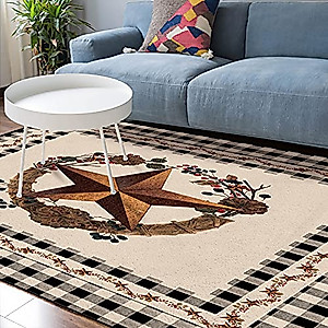 Non-Slip Area Rugs with Rubber Backing Throw Rugs Runner Farmhouse Country Star and Primitive Berries On Retro Black Plaid Non-slip Soft Cozy Carpets for Floor, Entryway, Nursery48x72 Inch