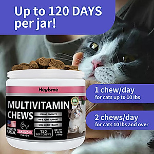 HEYISME Lysine Supplement for Cats, Cat Treats for Sneezing and Runny Nose, Cat Cold, Cat Immune Support, Eye Function, and Respiratory Health, L-Lysine Cat Vitamins for Cats (Salmon, 120 Chews)