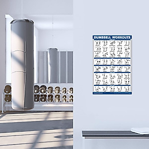 Palace Learning 3 Pack - Dumbbell Workouts + Barbell Exercises + Cable Machine Workouts - Set of 3 Workout Charts (LAMINATED, 18” x 24”)