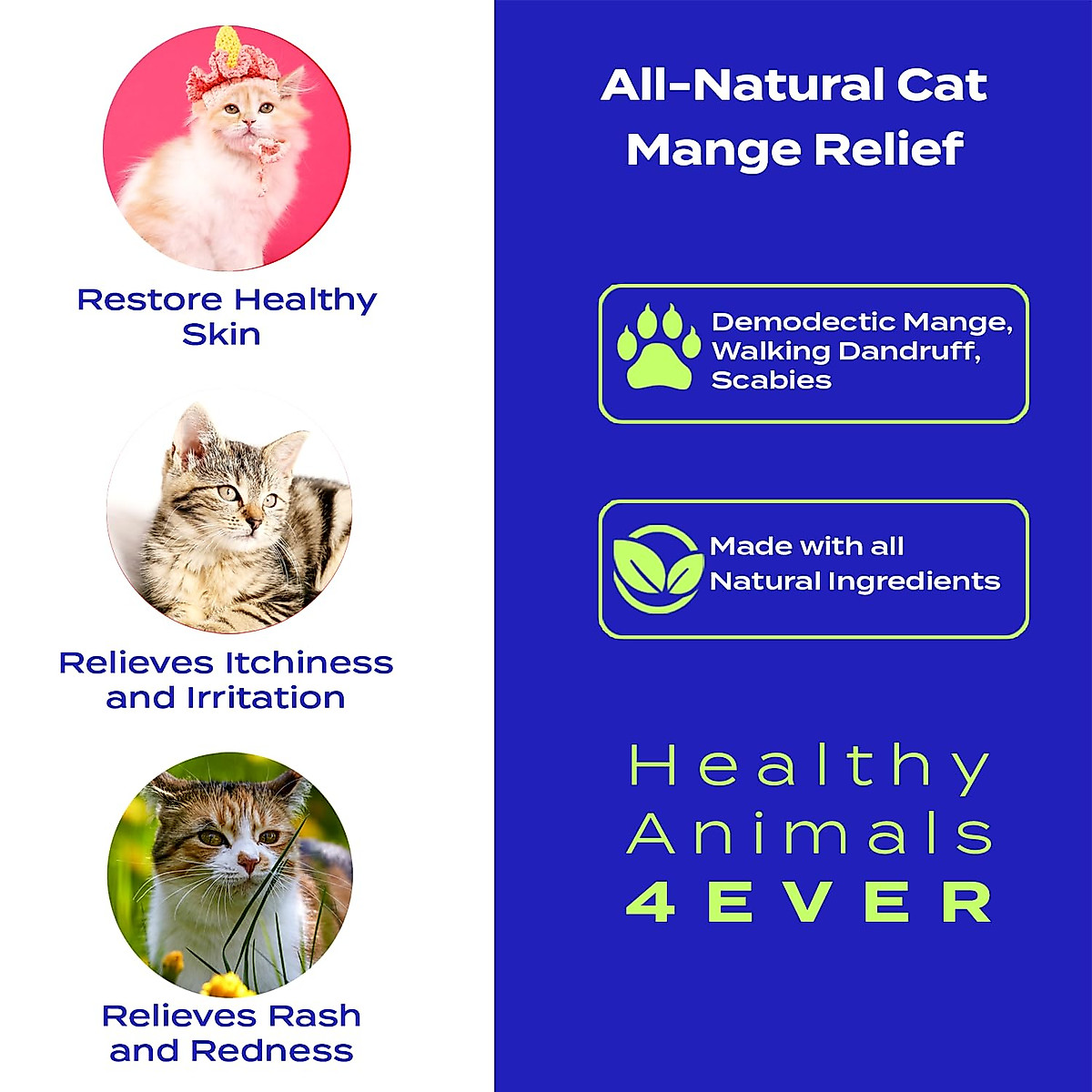 HealthyAnimals4Ever Mange Relief for Cats - Treatment for Itchiness, Scabs, & Hair Loss Caused by Mites - All-Natural, Homeopathic, Non-GMO, Organic - Gluten, Preservative & Chemical Free - 300 ct