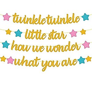 Twinkle Twinkle Llittle Star How We Wonder What You Are Banner Gender Reveal Decorations Boy or Girl He or She Pink Blue Gold Star Baby Shower Party Supplies Glitter Décor Pre-Strung