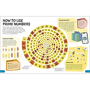 What's the Point of Math? (DK What's the Point of?)