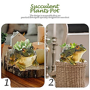 Hemoton Frog Planter, Ceramic Frog Shaped Plant Pot/Bonsai Pot/Flower Pot/Succulent Planter Multipurpose Pot for Indoor Home Desk Decoration