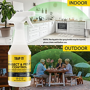 TRAP IT! Insect Repellent Peppermint Oil Spray for Bugs, 16OZ Natural Pest Control Spray for Home Kitchen Ant Spider Roach Fly Killer, DEET-Free Pet Family Safe Bug Spray Indoor Outdoor Patio Yard