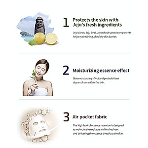 SNP - Jeju Rest Cactus Korean Face Sheet Mask - Nourishing & Moisturizing Effects for All Sensitive Skin Types - 10 Sheets Beauty Facial Masks Skincare for Women and Men