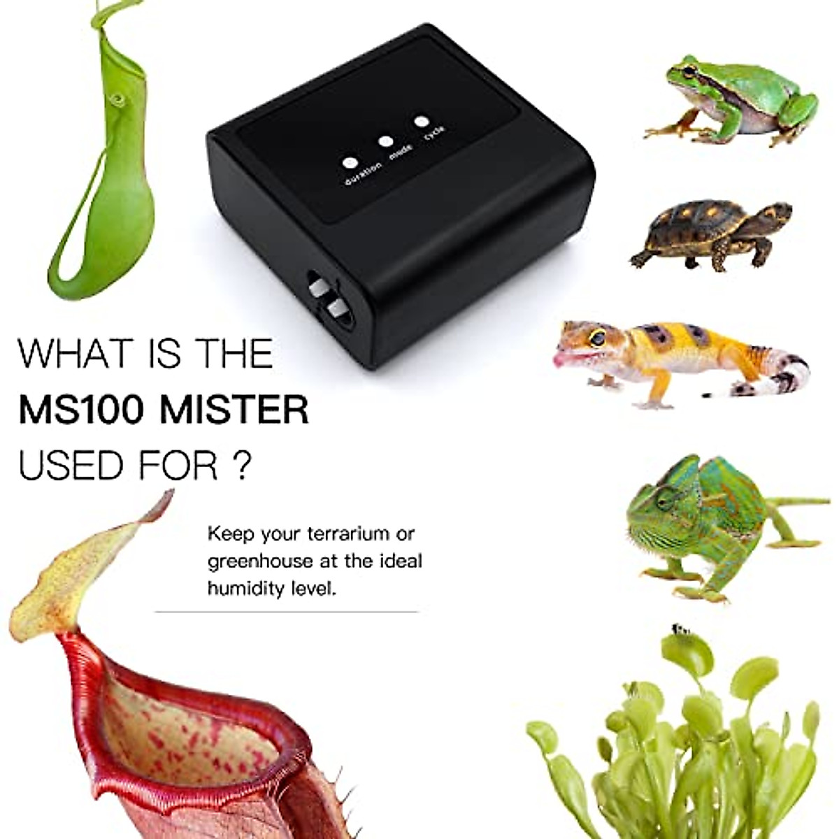 MrReptile Reptile Mister Humidifier, Automatic Mister for Reptiles、Indoor Plants, Upgrade MS100 Mister, Reptile Misting System