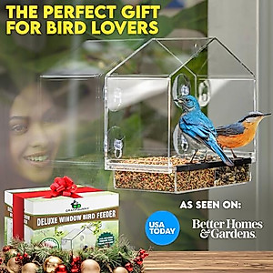 Window Bird Feeders for Outside - Large Bird House Style Window Bird Feeder - Window Bird Feeders with Strong Suction Cups with Drain Holes, Removable Tray, Large Seed Capacity and Rubber Perch