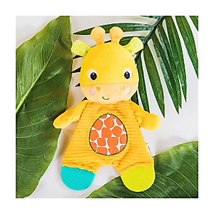 Bright Starts Snuggle Teethe Plush Teething Baby Toy - Giraffe, Crinkle Fabric, Ages 0 Months