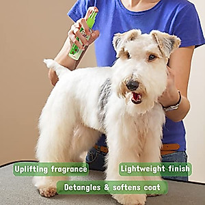 Pet Silk Rainforest Spray Cologne 11.6oz, Deodorizing Body Perfume & Condtioner, Clean/Fresh Light Florard Scent for Pet Grooming needs for Dogs, Cats and more!