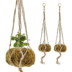 Esterno Kokedama Hanging Planters (Set of 3, 5.5in Diameter); Japanese Moss Ball Plant Holder for Ferns, Succulents, Orchids Etc