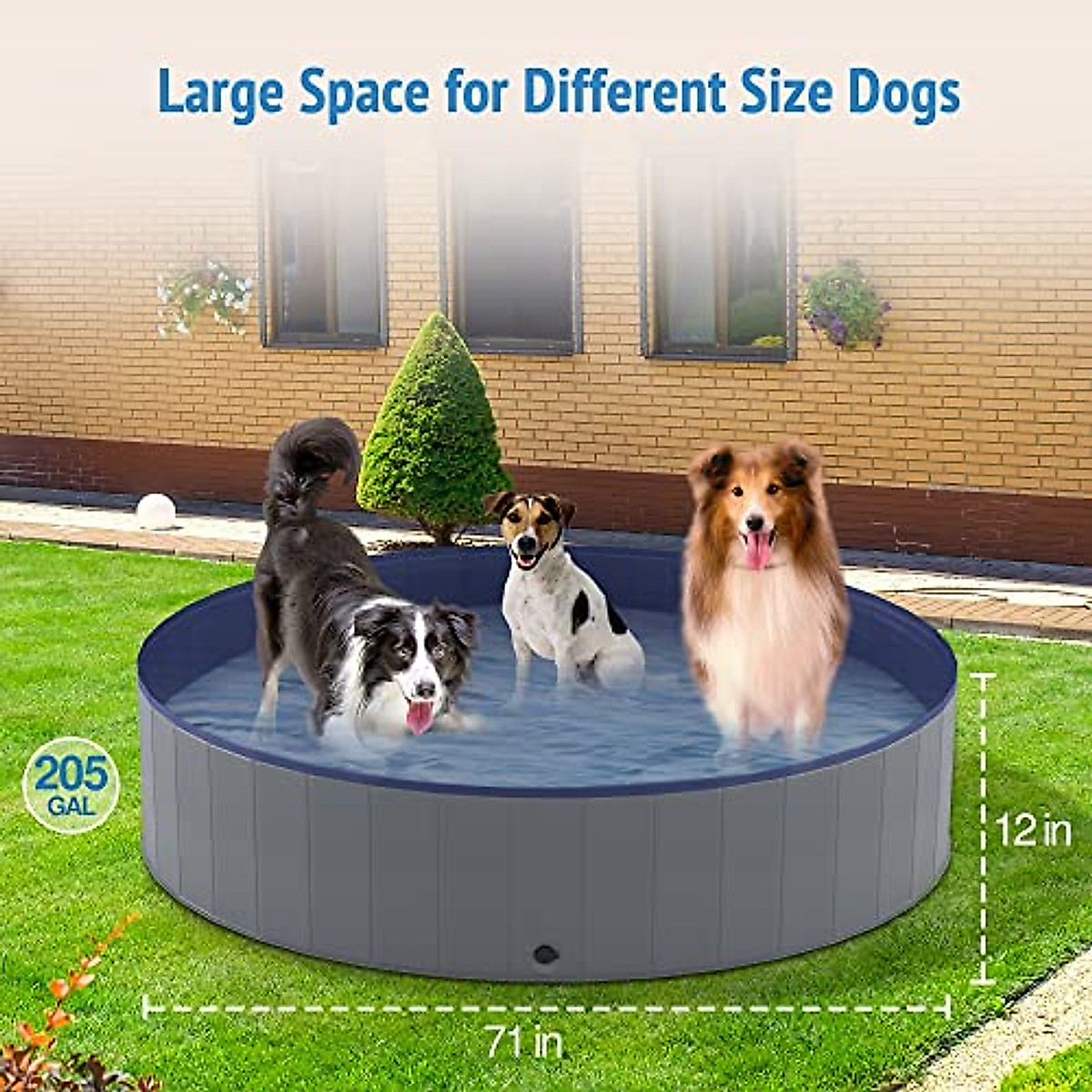 Niubya Foldable Dog Swimming Pool, Collapsible Hard Plastic, Portable Bath Tub for Pets Dogs and Cats, Pet Wading Pool for Indoor and Outdoor, 71 x 12 Inches