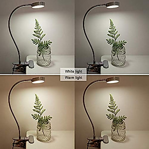 LEPOWER Clip on Light/Book Light/Reading Light with 2 Color Changeable/Night Light Clip on for Desk, Bed Headboard and Computers (Silver)