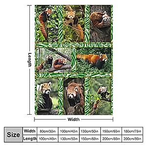 Red Panda Blanket Gifts, 30"x40" Red Panda Throw Soft Flannel Blanket for Kids Adults, Warm Lightweight Cozy Fuzzy Plush Red Panda Lover Gifts for Bed Couch