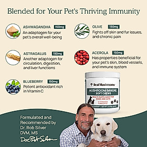 Mushroom Immune Support Pet Chews (60ct) Treats for Dogs – Immune Booster Supplements for Pets with Ashwagandha, Astragalus, Blueberry, Olive Leaf, Acerola &Gut Health for Dogs and Cats
