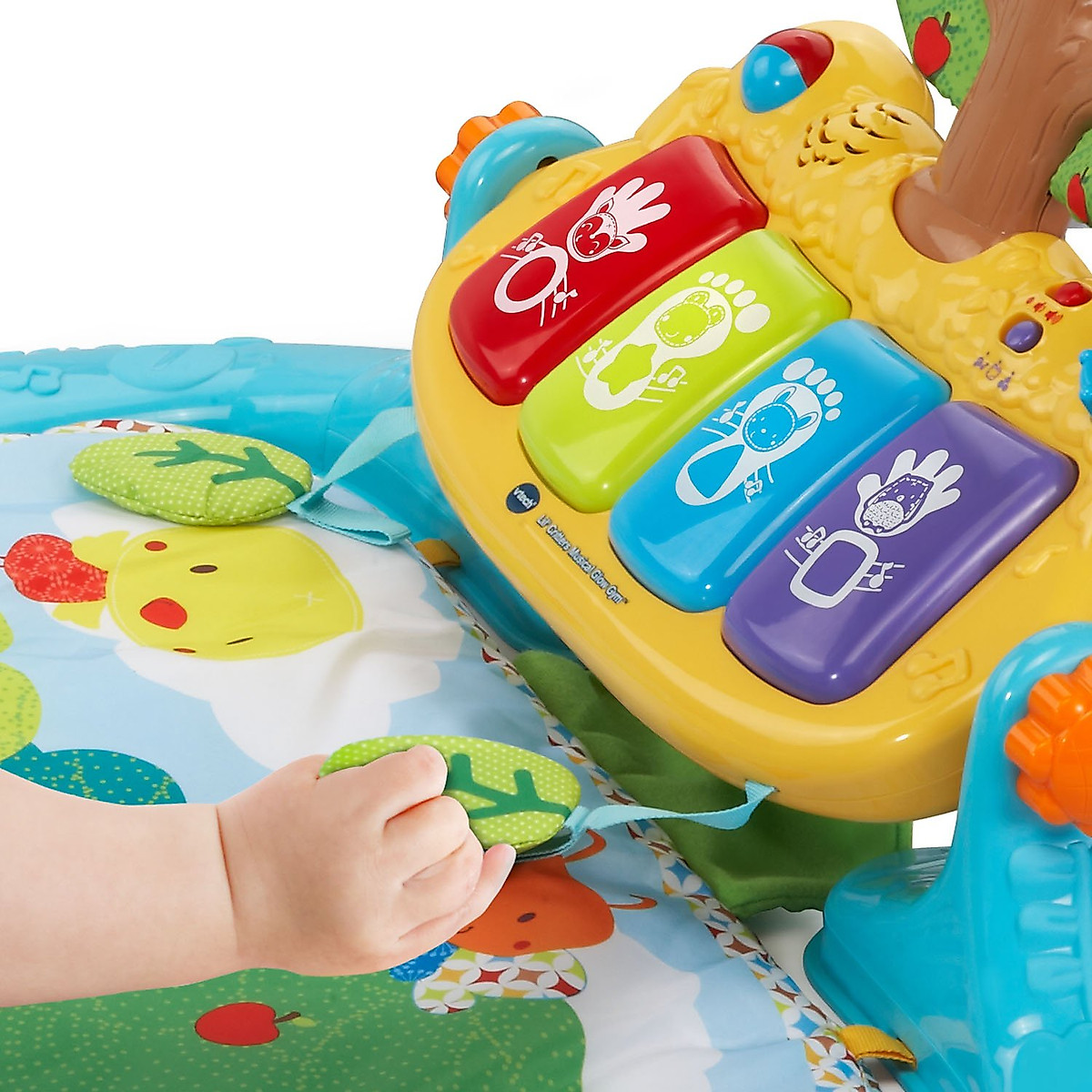 VTech Baby Lil' Critters Musical Glow Gym (Frustration Free Packaging)