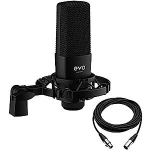Audient EVO Start Recording Bundle with EVO 4 2-In/2-Out USB Audio Interface, SR1 Condenser Mic, SR2000 Headphones, Shockmount, XLR Cable, Instrument Cable, and Austin Bazaar Polishing Cloth