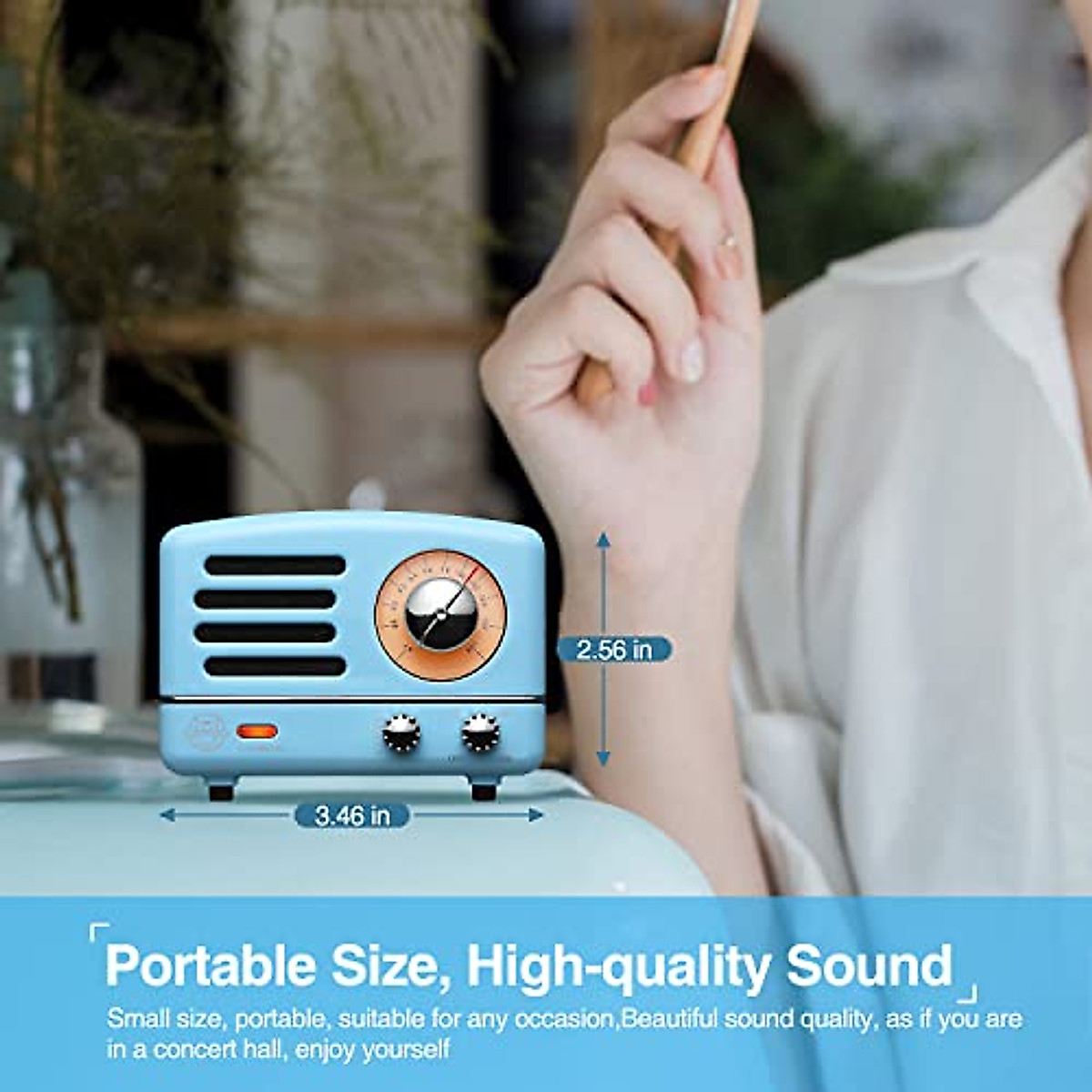 Muzen OTR Metal Portable Bluetooth Speaker with Retro knob Tuner FM Radio, Also with Suitcase Gift Case, Wireless Bluetooth Speaker with Loud Stereo Sound, for Home Outdoor Travel