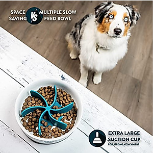 Our Pets Spiral Slow Feeder Insert Slow Feeder Dog Bowls | Turn a Dog Bowl or Dog Dish into a Dog Bowl Slow Feeder (Alternative to Dog Puzzle Feeder, Lick Mat, Dog Slow Feeder to Slow Down Eating