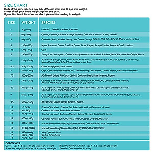 BEV’s Bird Boutique - Cherries (Flyper Mini) (9.5)