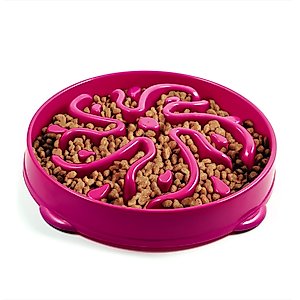 Pawsing N Claws Slow Feeder Dog Bowl - Anti-Choking & Non Slip Interactive Dog Feeding Bowls for Dry/Wet Food That Slow Down Eating Dog Bowl - Maze Puzzle Design Bowl - Large (Purple)