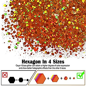 Ceya Holographic Chunky Glitter, 4.9oz/ 140g Orange Craft Glitter Powder Mixed Chunky & Fine Flakes Iridescent Nail Sequins for Nail Art, Hair, Epoxy Resin, Tumblers, Slime, Painting, Festival Decor