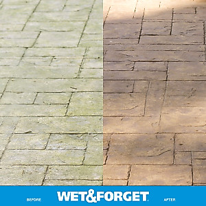 Wet & Forget Moss, Mold, Mildew, & Algae Stain Remover Multi-Surface Outdoor Cleaner Concentrate, Original, 64 Fluid Ounces