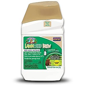 Captain Jack's 2613 5-in-1 Weed Killer, 16-oz. Concentrate - Quantity 1