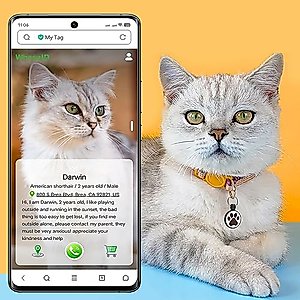 WhoseID QR Code Cat Tag, Modifiable Pet Online Profile Display Page, Multiple Emergency Contact, Silent Silicone Cat Tag, Collar Accessories, Personalized Cat Tag (Small Breeds - 1", Black & Black)
