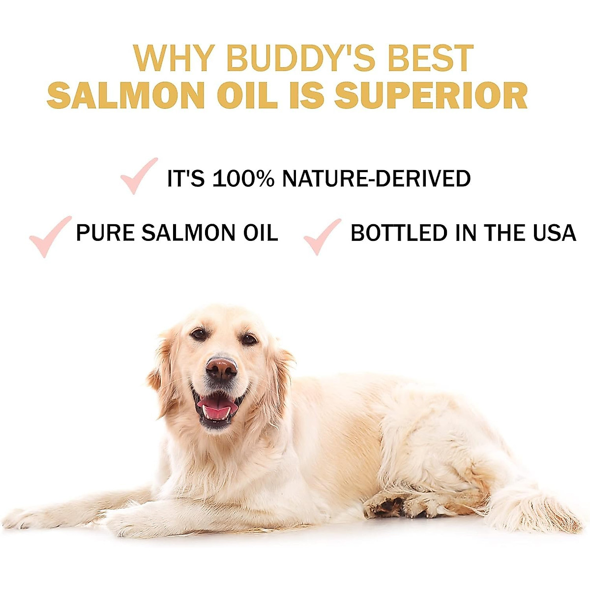 Buddy's Best Salmon Oil for Dogs 1 Gallon (128 Oz) Pump Bottle 100% Pure Norwegian Virtually Odorless Fish Oil