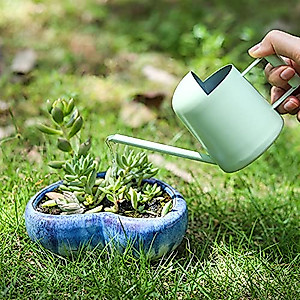YISSSN Mini Bonsai Watering Can for Indoor Plants Stainless Steel, 10oz/300ml (Green)
