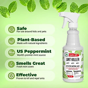 Mighty Mint - 16oz Natural Peppermint Oil Ant Killer and Repellent Spray - Safe for Indoor/Outdoor Use