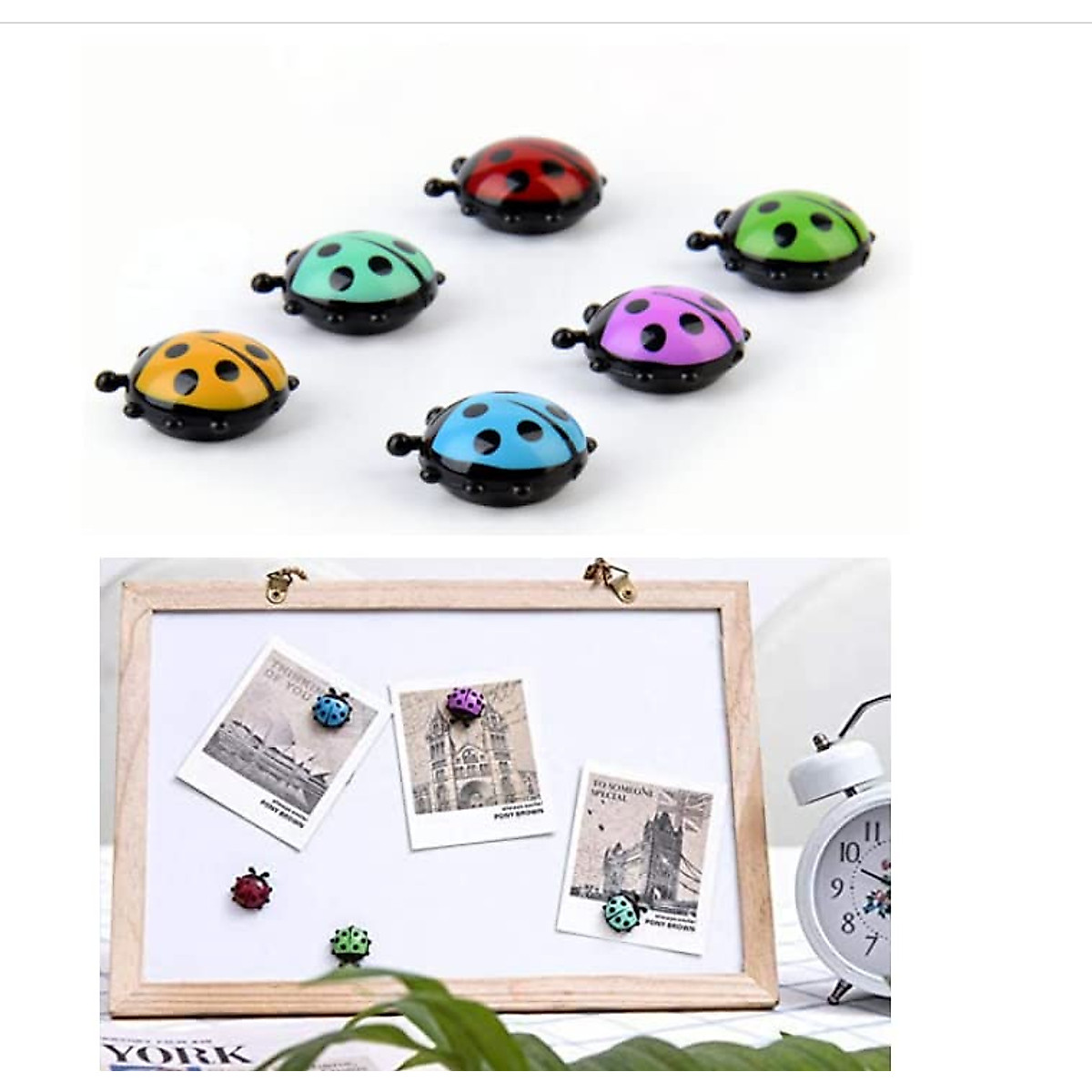 HLLMX 12 PCS Cute Ladybug Refrigerator Magnets Kitchen Magnets Office Magnets for Kitchen School Classroom, Locker Magnets for Kids Boys Girls, Home Decoration Photos