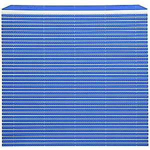 Hasegawa Plastic Sushi Rolling mat, Sushi Cooking mat, Blue Medium Size, 10" x 9.5"