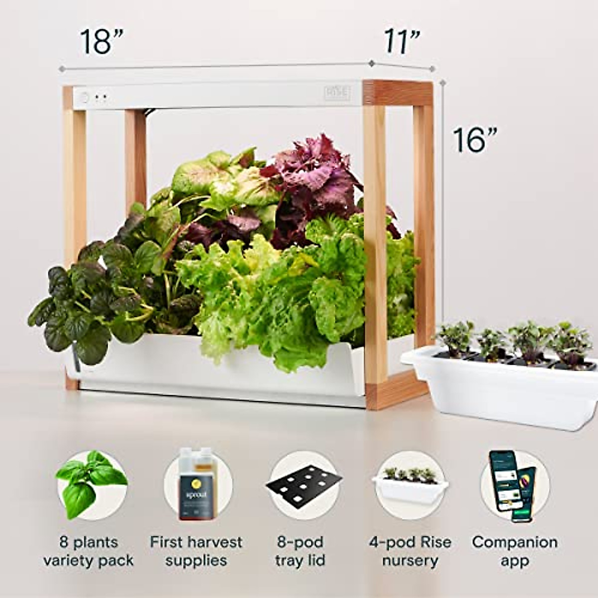 Rise Gardens Personal Garden and Starter Kit | Hydroponics Growing System, Wi-Fi & App Controlled Indoor Garden with Growing Lights & Self-Watering System | Includes 8 Seed Pods & 6 Weeks Nutrients