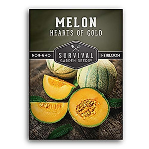 Survival Garden Seeds - Hearts of Gold Melon Seed for Planting - Packet with Instructions to Plant and Grow Sugar Sweet Cantaloupe Fruit in Your Home Vegetable Garden - Non-GMO Heirloom Variety