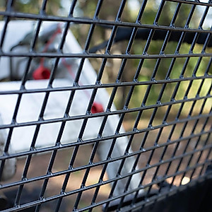 Titan Attachments 12" Rotating Tree Shear Attachment 5" Cylinder Skid Steer for Tractor Loaders