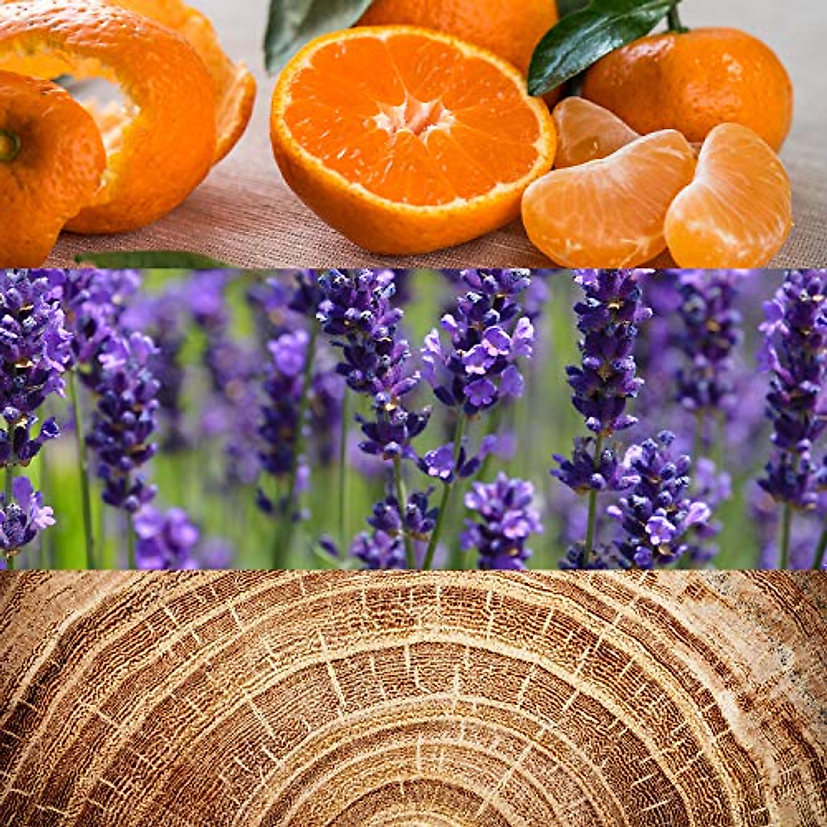 Calvin Klein Obsession for Men Eau de Toilette, 1 Fl Oz