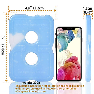 REV. LANG Cold Ice Pack Brick Reusable Long Lasting Cool Slim Thin Freezer Pack Cooler for Lunch Boxes Bag(200g,Set of 5)