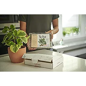 Osmocote PotShots: Premeasured House Plant Food, Feed for up to 6 Months, 25 Nuggets