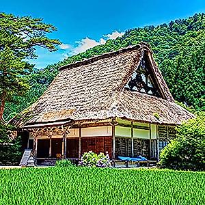 Pealihuy Mexican Straw Roof Thatch Roof Decoration Palm Thatch for Tiki Bar Hut, Patio, Party, Thatch Roofing Decorations,1 PCS