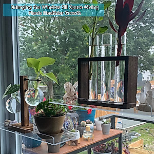 2 Pack Suction Cup Shelf for Plants Window, 12 Inch Acrylic Window Sill Extender for Plants, Window Plant Shelves, for Succulent Planters, Herb Pots, Indoor Plants