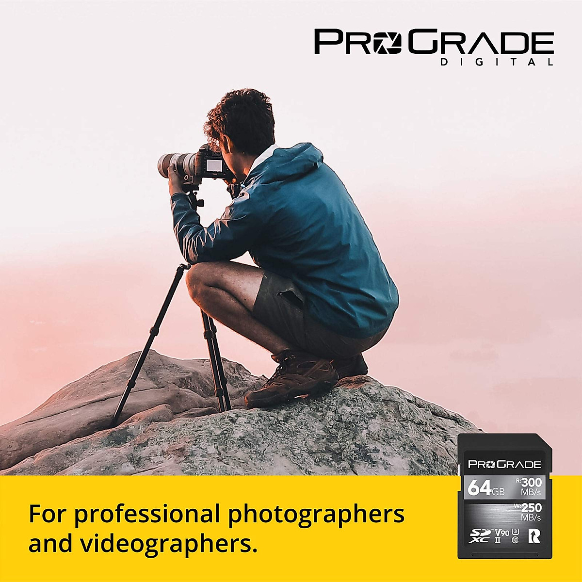 ProGrade Digital SDXC UHS-II V90 300R Memory Card (64GB)